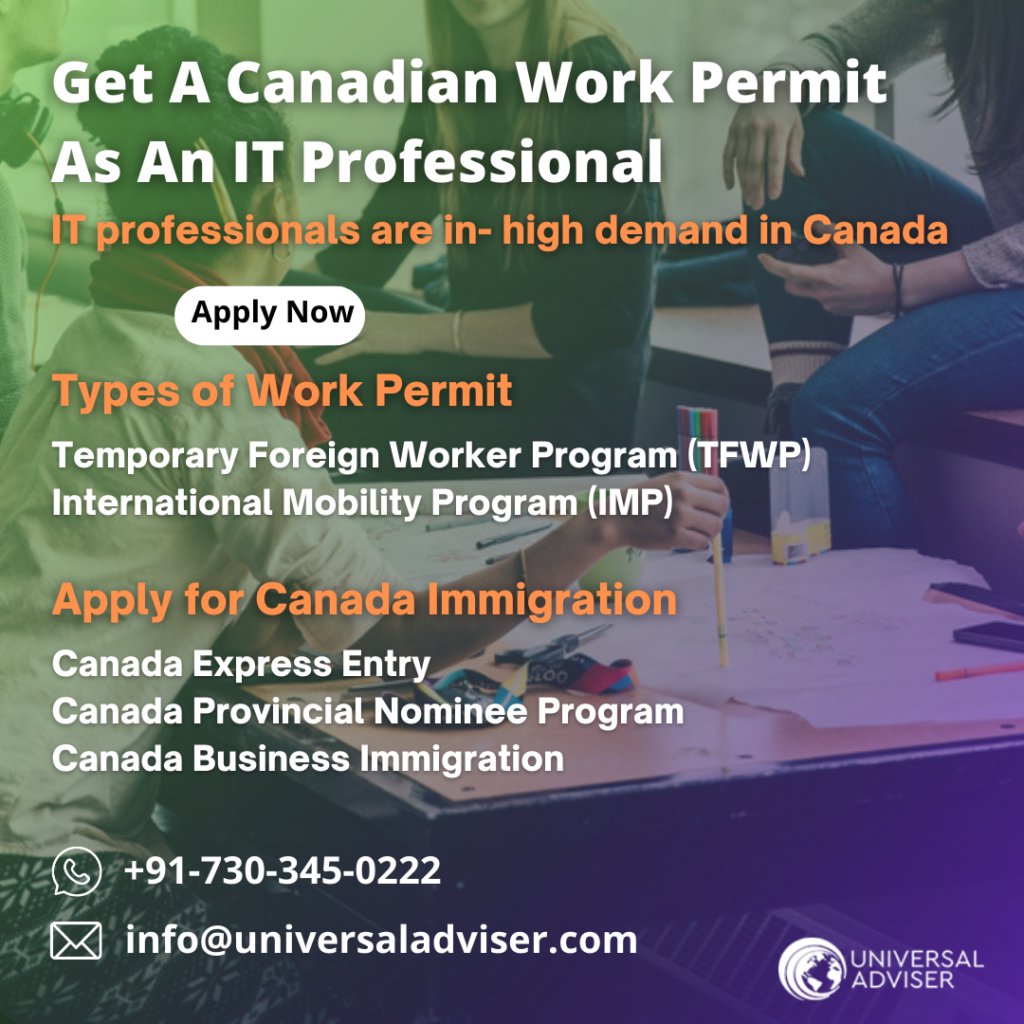 Work Permit Pathways for IT Professionals - 2026